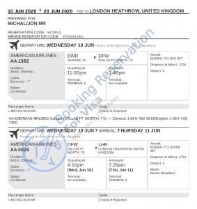 Dummy Air Ticket or Actual Flight Ticket: What Should I Buy for Application?