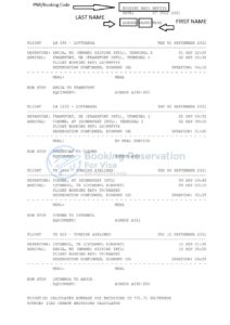 How to Verify Flight Reservation Status Online - 5 Effortless Steps