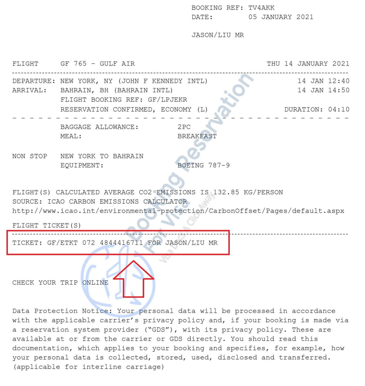 Perfect Mentor for Retain Dummy Flight Ticket for Schengen Visa